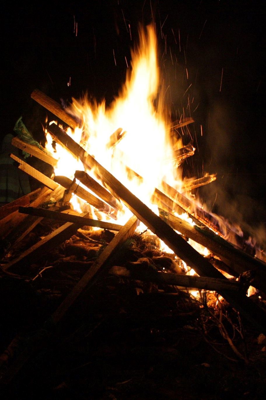 fire – Australian Black Limes |Home